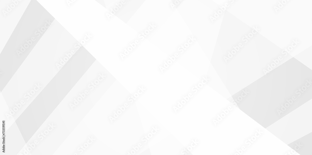 Vecteur Stock Abstract background with white and gray and geometric ...