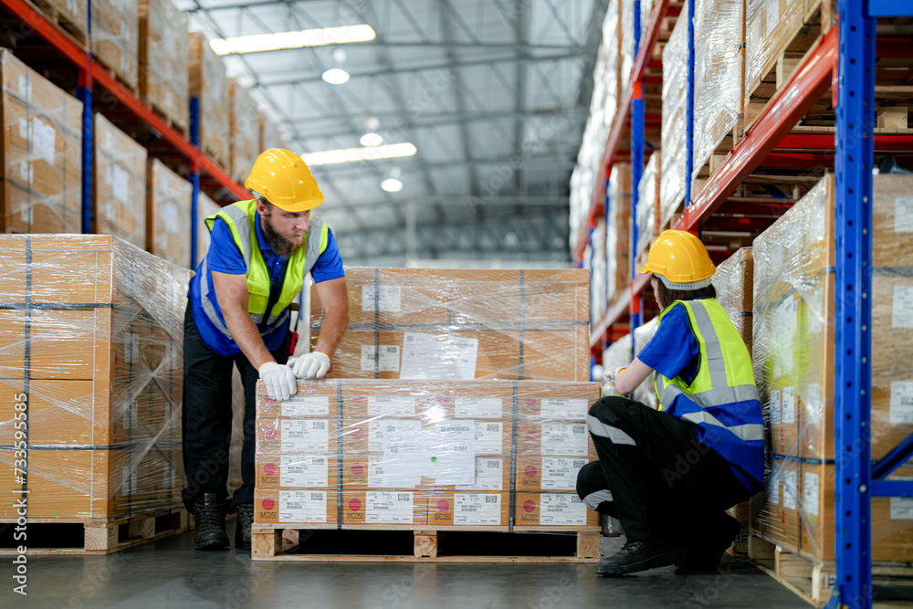workers using Laser Barcode Scanner to checking stock items for ...