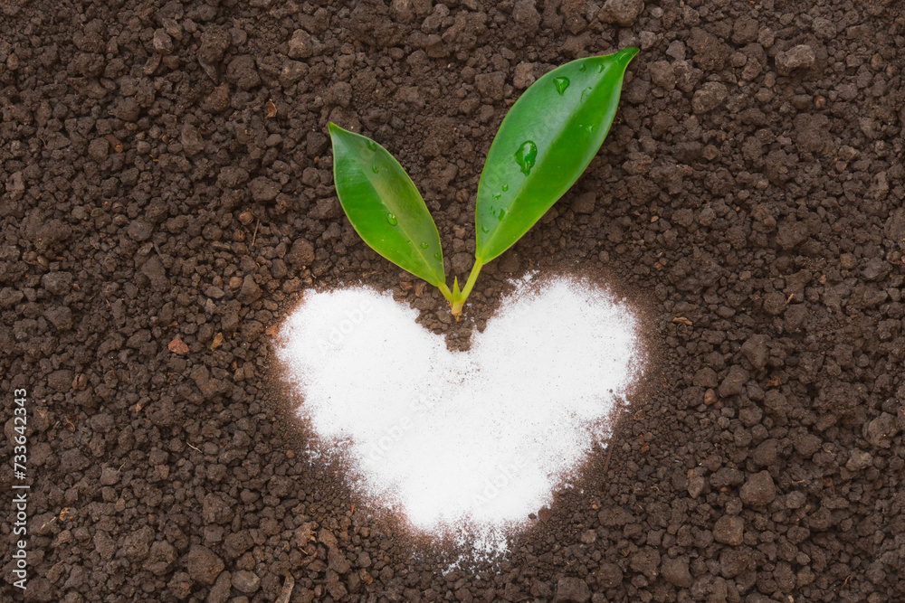 Heart shape made from fertile soil and green leaves. Environmentally ...