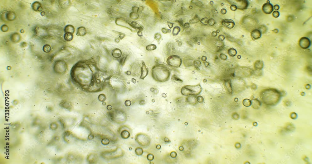 Apple under a microscope with floating germs, microbes and bacteria ...