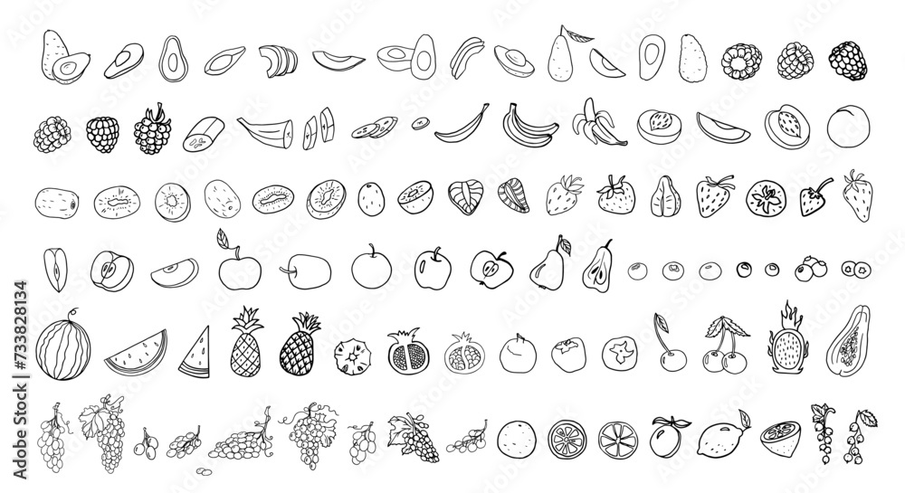 Big set of fruits and berries. Pineapple, strawberry, raspberry, papaya ...