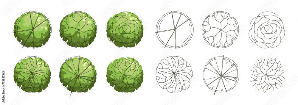 Tree for architectural floor plans. Entourage design. Various trees ...