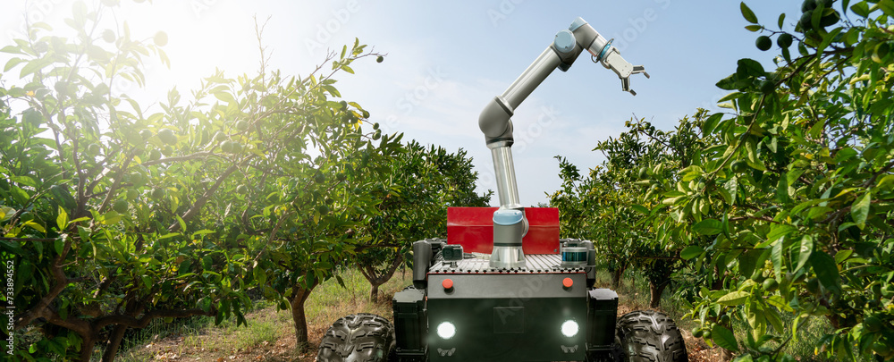 Autonomous robot harvester with robotic arm harvesting fruits on a ...