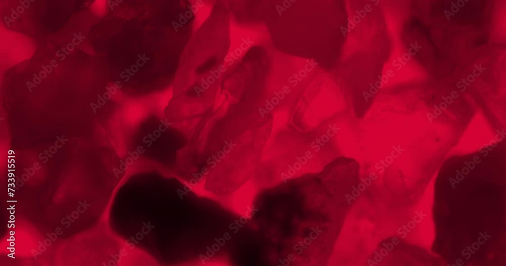 Thriller red sand under a microscope, with a bacteria and germs. Small ...