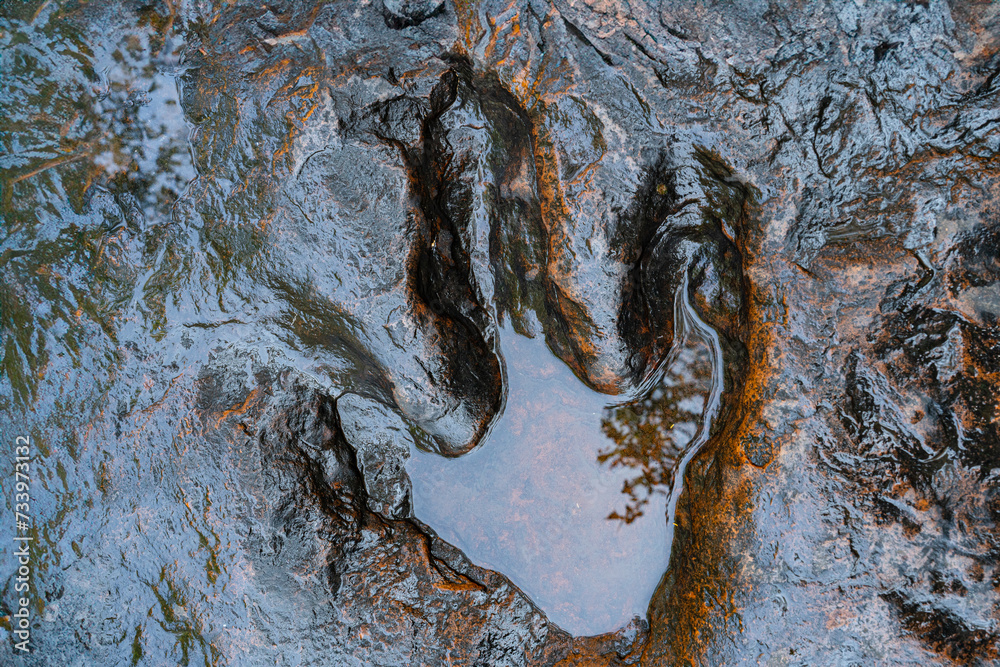 Large, carnivorous dinosaur footprints It was intricately carved into ...