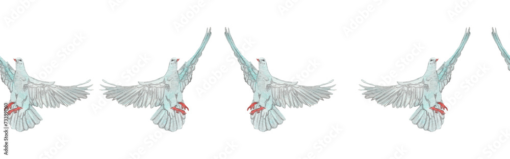 Watercolor birds flying pigeons border. Birds seamless border. Hand ...