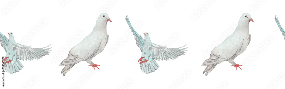 Watercolor birds flying pigeons border. Birds seamless border. Hand ...
