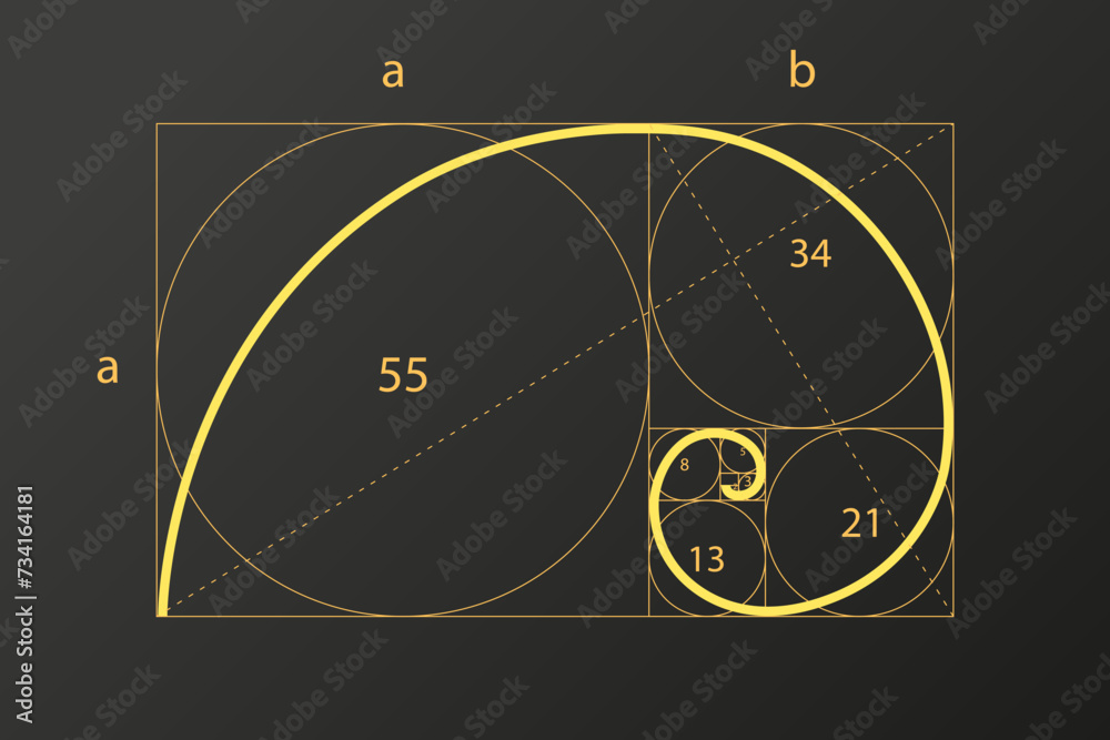 Abstract vector illustration of the proportion of the golden ratio, the ...