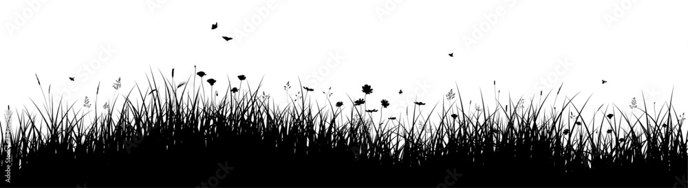 Poster Grass border, green grass banner, meadow background – Wall Art ...