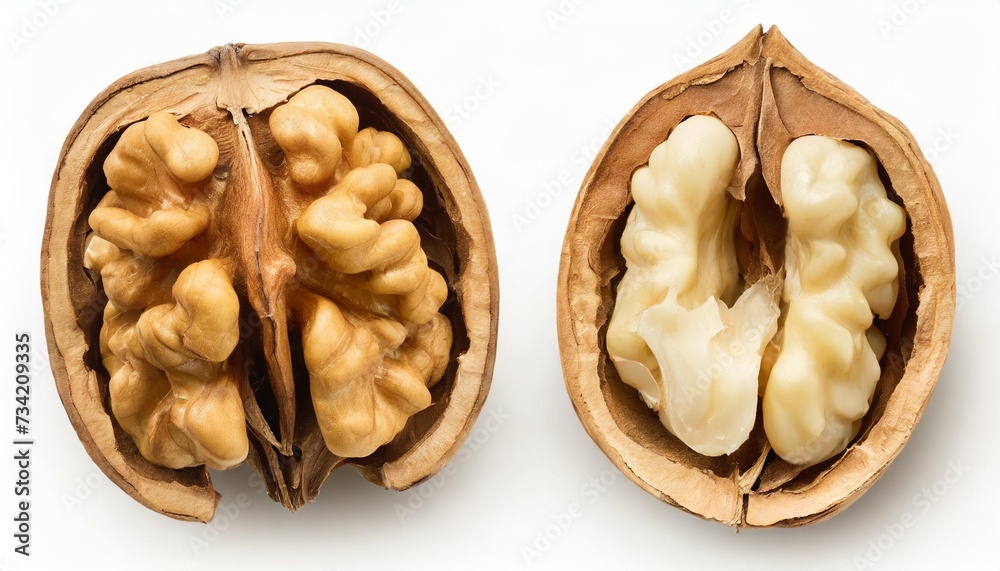 walnut half isolate peeled walnut on white walnut nut top view set with ...
