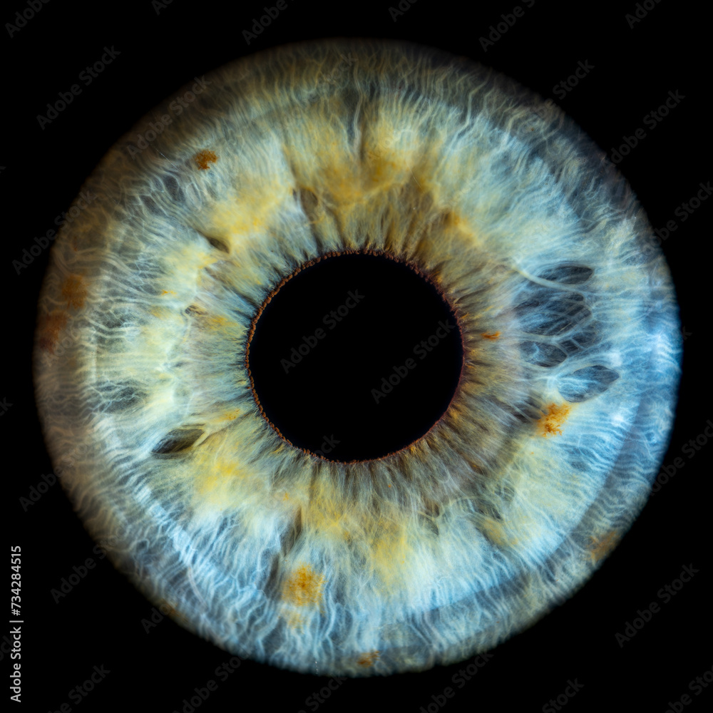 Macro photo of human eye on black background. Close-up of female blue ...