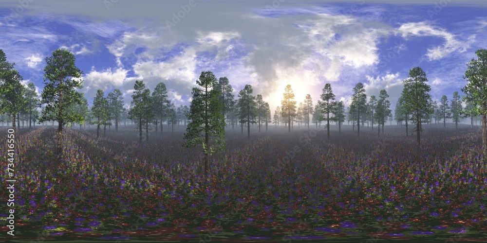 HDRI, environment map , Round panorama, spherical panorama, equidistant ...