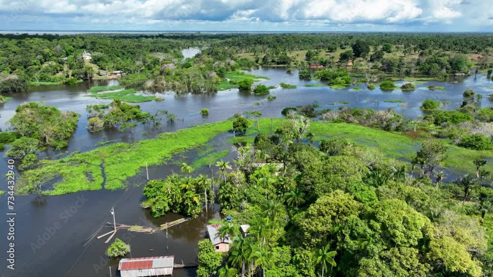 Amazon Forest At Manaus Amazonas Brazil. Country Ranch Manaus Amazonas ...