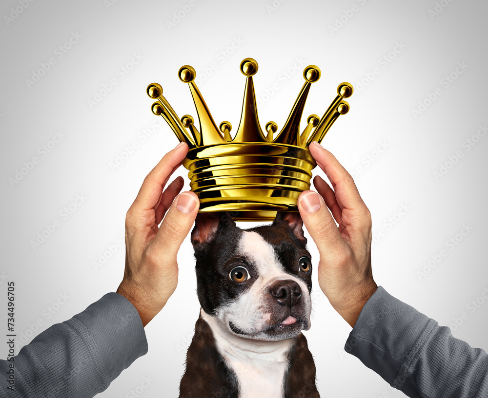 Best dog award and canine Crowning Coronation as a puppy Crown as a ...