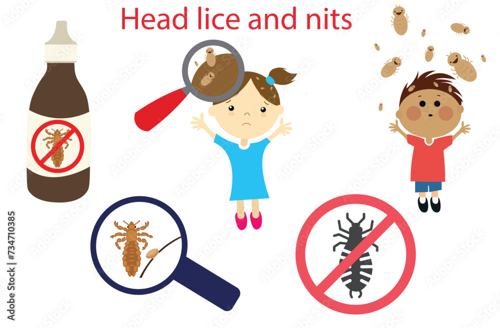 Head lice and nits,tiny insects that live in hair,the empty egg cases ...