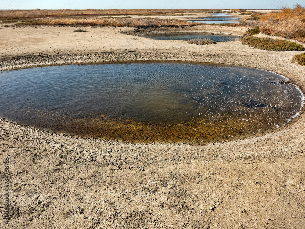 Subsidence funnels on salt marsh are filled with lakes of diverse ...