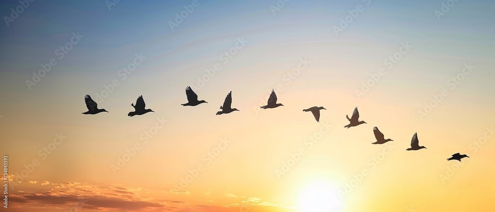Spring Migration - Birds flying in a V-formation against a clear dawn ...