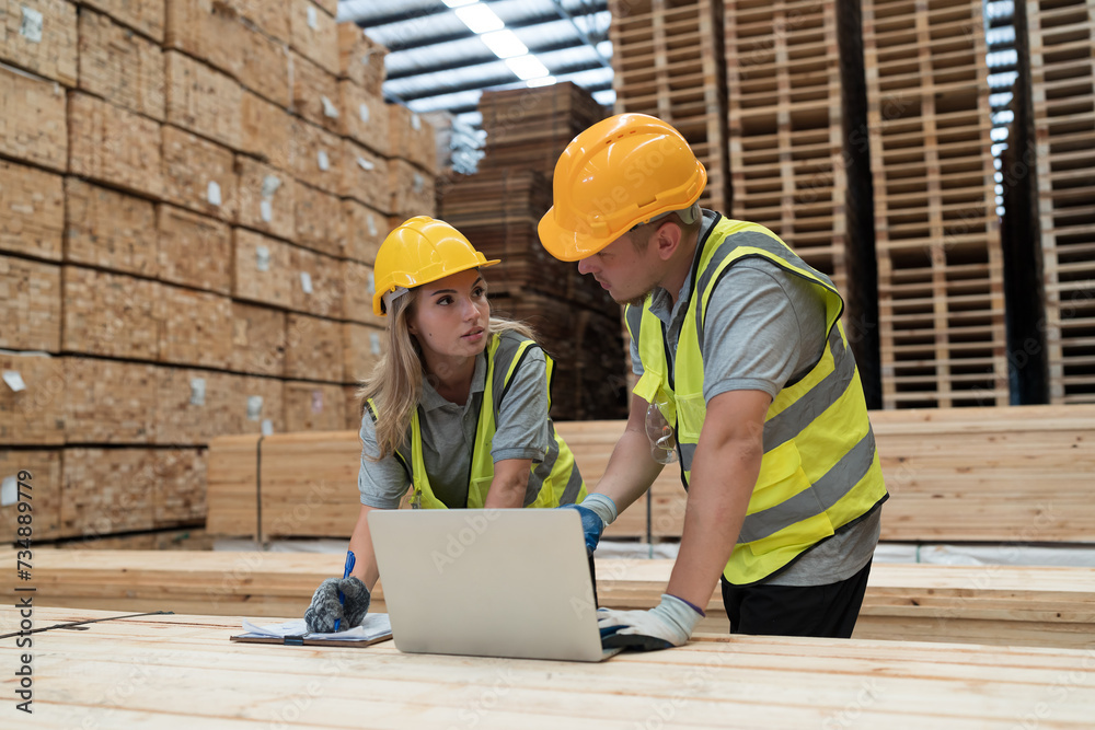Male and female warehouse worker working with laptop computer in lumber ...
