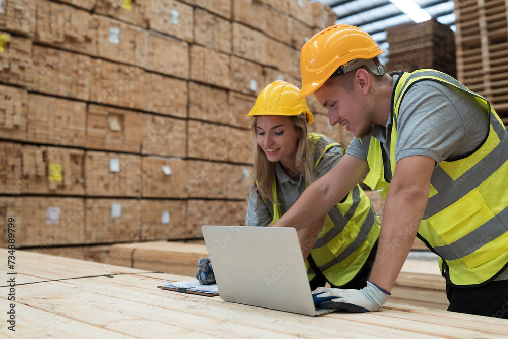 Male and female warehouse worker working with laptop computer in lumber ...