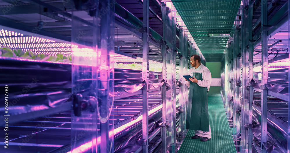 Young Farmer Working in a Vertical Farm Facility with Ultraviolet LED ...