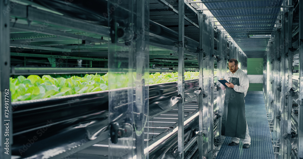 Agricultural Grower Working in a Corridor in a Modern Vertical Farm ...