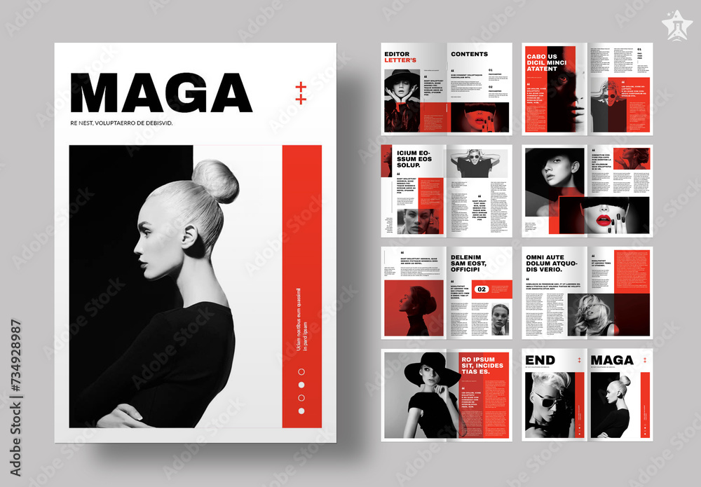 Simple Magazine Layout Stock Template | Adobe Stock