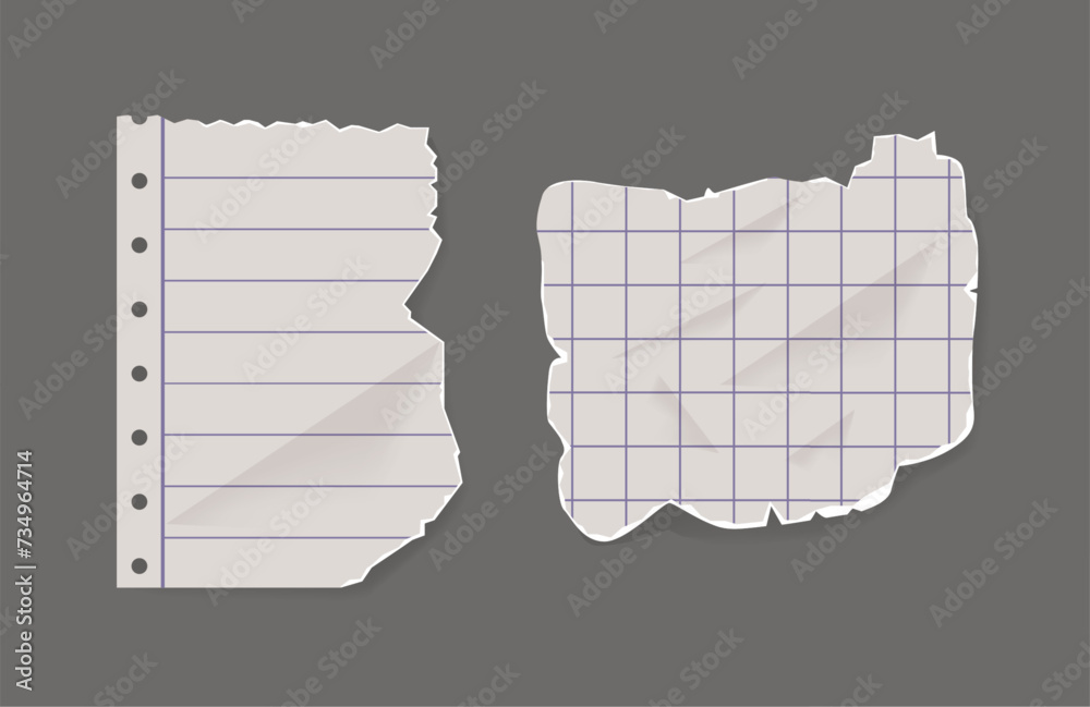 Lined And Checkered Torn Paper Pieces. Fragmented Sheets, Featuring ...