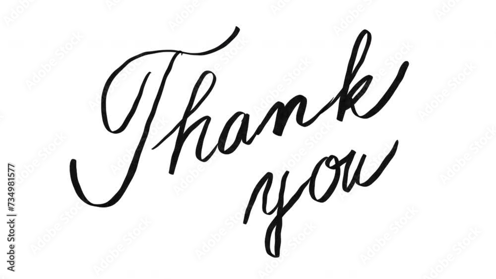 Thank you headline. Animated hand drawn calligraphy title text. Loop ...