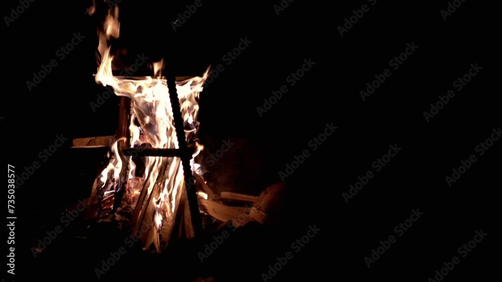 Burning Campfire in the Night Forest on a Black Background. Flaming ...