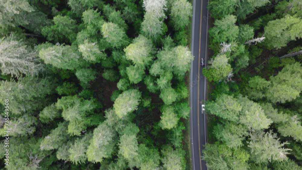 Top down view over dense evergreen forest. Overhead aerial above people ...