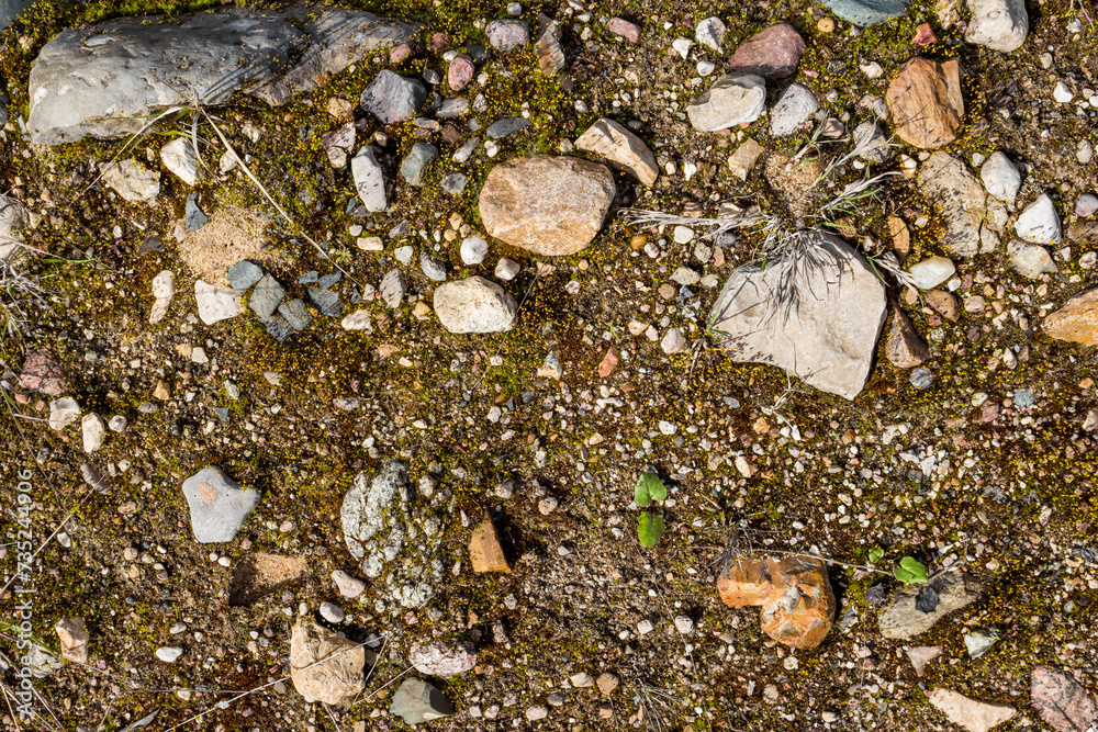 Moraine stones rounded by an ancient glacier on a sand quarry, rocky ...