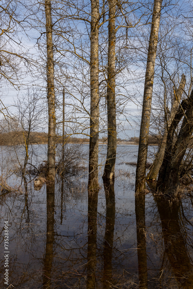 early spring flood, high water in the countryside, river overflowing ...