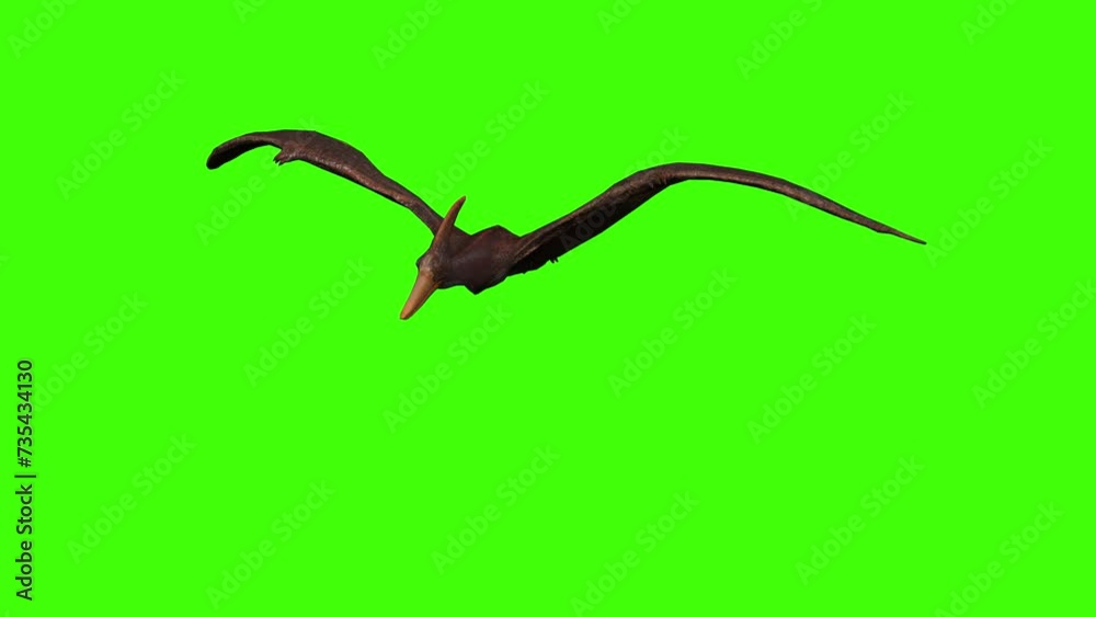 Vídeo do Stock: 3D Pteranodon Pterosaur flying Loop with top view on ...