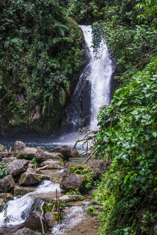 Catarata Gallito de las Rocas - Satipo, Junín, Perú Stock Photo | Adobe ... Catarata Gallito de las Rocas - Satipo, Junín, Perú Stock Photo | Adobe ...