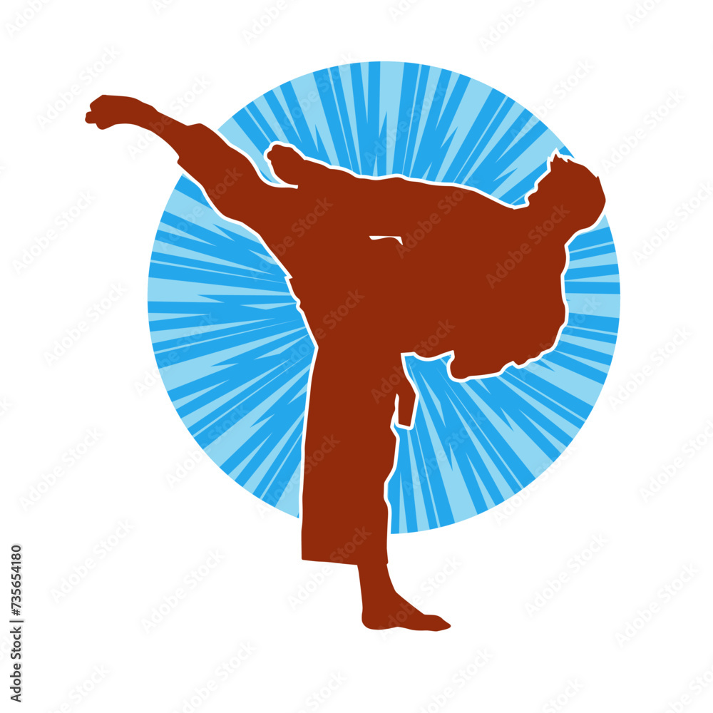 Silhouette of a male doing martial art kick pose. Silhouette of a ...