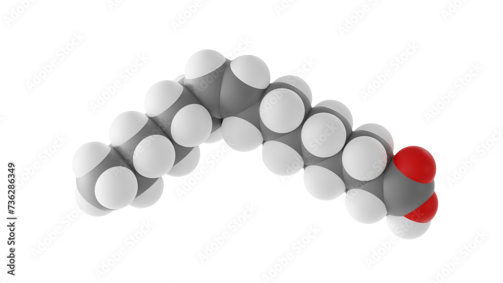 palmitoleic acid molecule, omega-7, molecular structure, isolated 3d ...