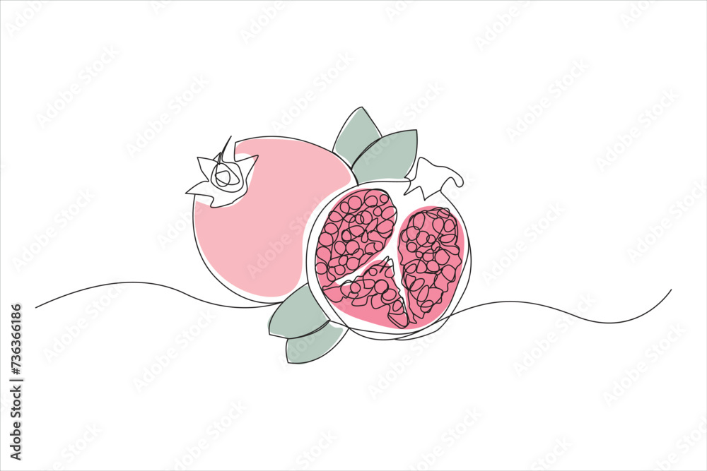Pomegranate in Continuous single one line drawing. One line drawing of ...