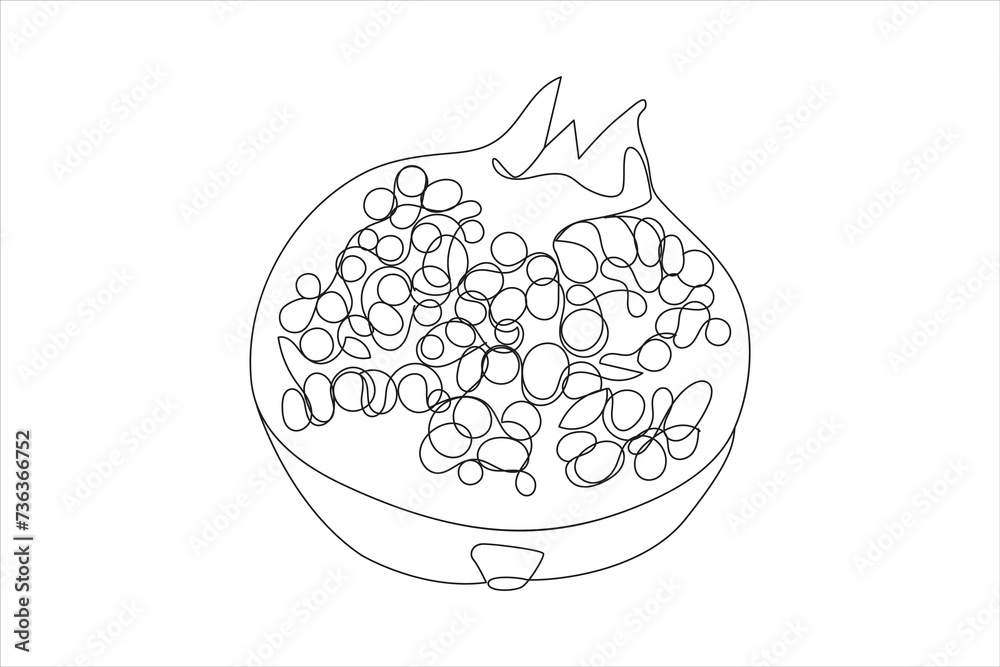 Pomegranate in Continuous single one line drawing. One line drawing of ...