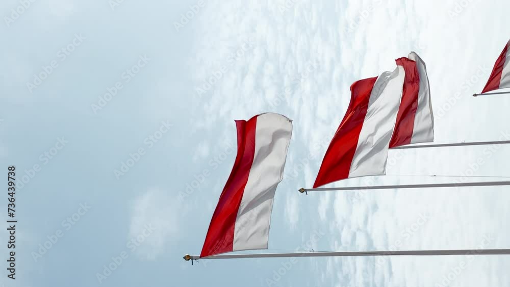 Flags of principality of Monaco in the wind at sunny weather, the port ...