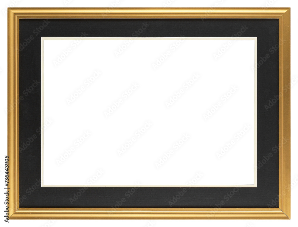 Gold picture frame with black insert on a transparent background, in ...