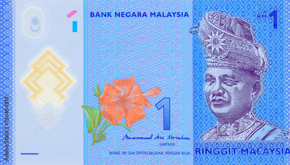 Banknote of Malaysian one ringgit MYR issued by Bank Negara Malaysia ...