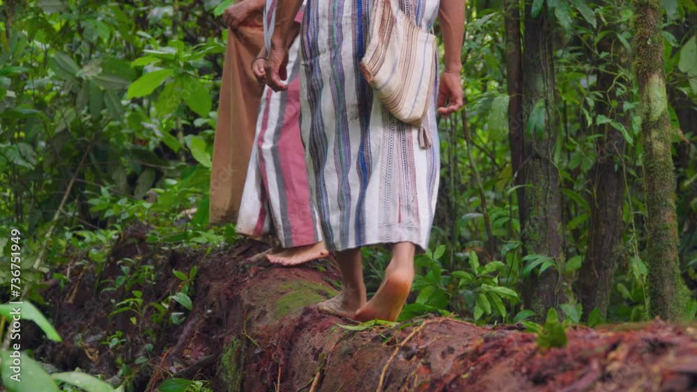 Barefoot indigenous people walking on a log in Oxapampa, Peru, in ...