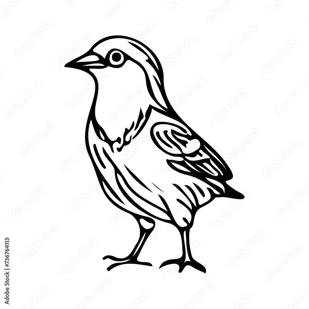 sketch line art animal bird characters hand drawn isolated set. Vector ...