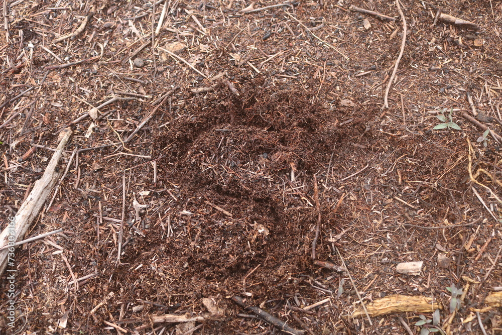 moist soil and tree growing in human hand, on bright green background ...