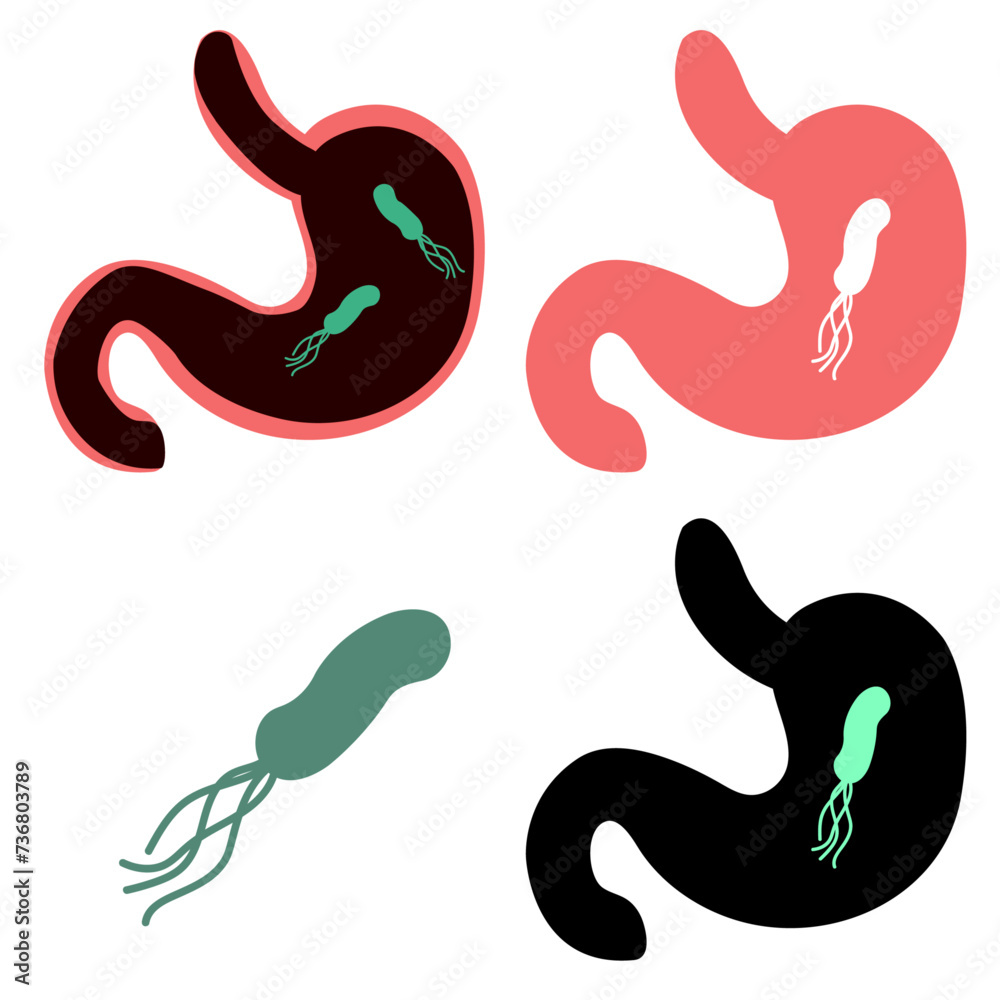 Human stomach and helicobacter pylori. Vector illustration cartoon ...