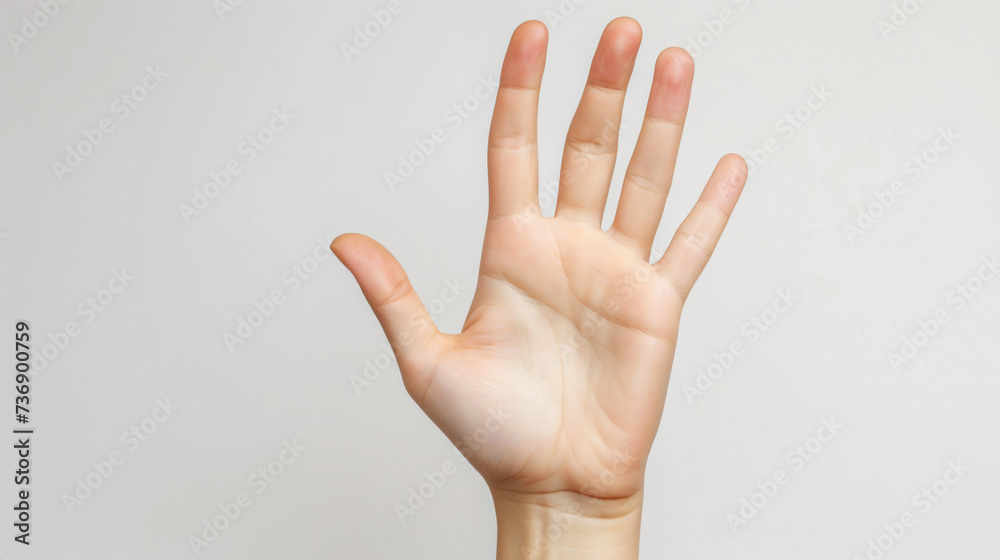 Open human hand palm isolated on white background, hand show stop sign ...