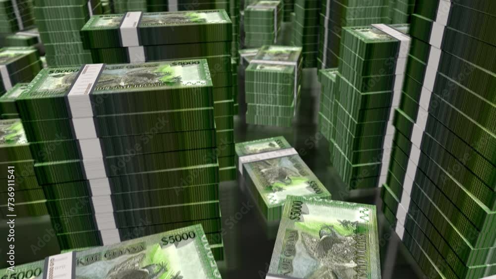Vidéo Stock Guyana money Guyanese dollars notes packs loop. 3D flight ...