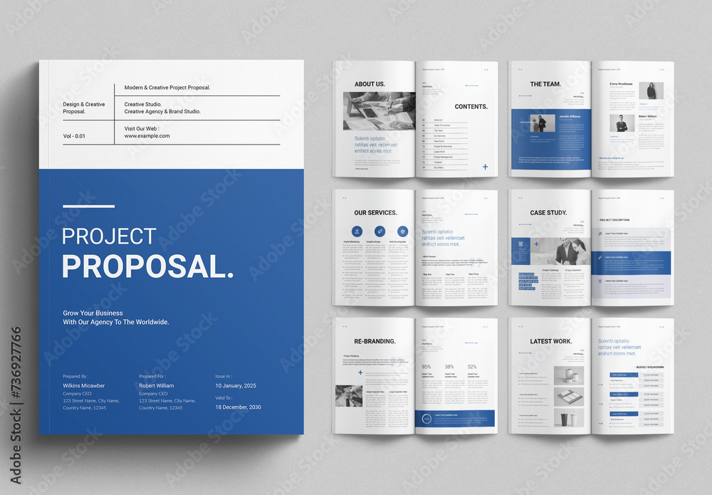 Project Proposal Layout Design Template Stock Template | Adobe Stock