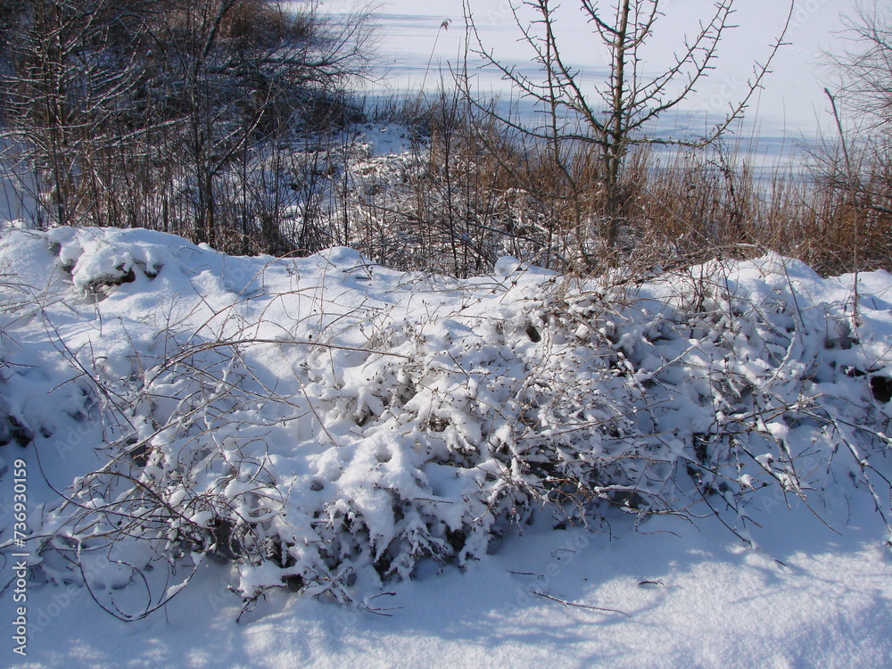 Enchanting natural picture of soft fluffy snow under the rays of the ...