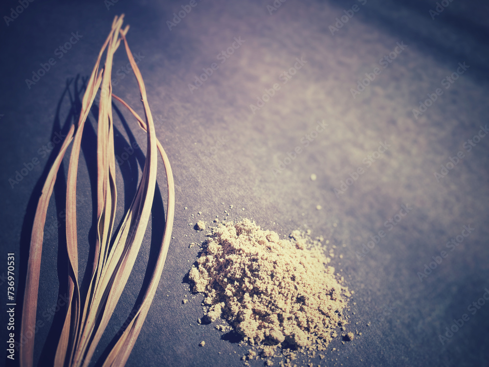 Lent Season, Holy Week, Ash Wednesday, Palm Sunday and Good Friday ...